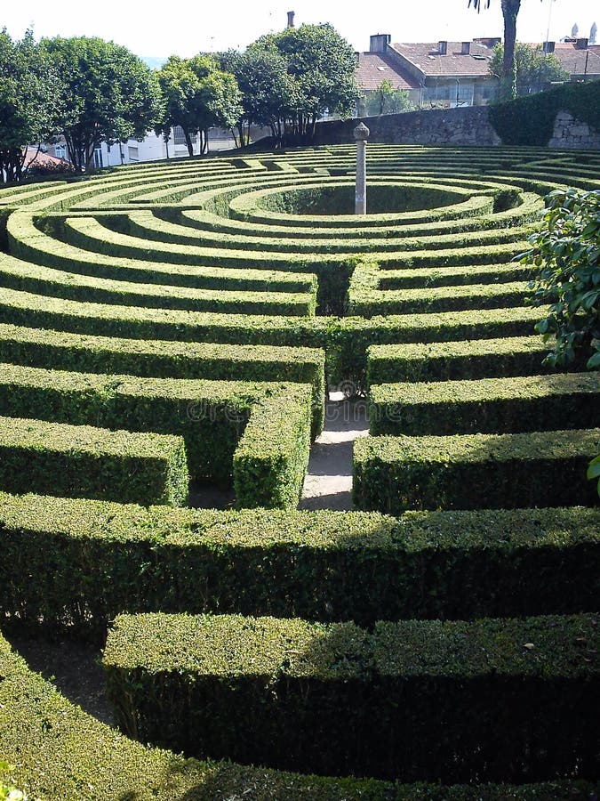 Green labyrinth stock image. Image of green, maze, nature - 136883969