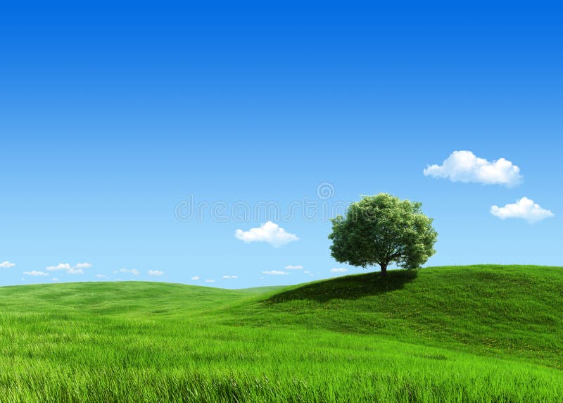 Green Meadow 1 Tree Template Stock Illustration - Illustration of ...