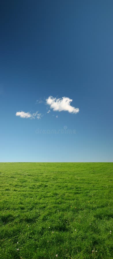 Open meadow stock image. Image of freedom, country, italy - 1211839