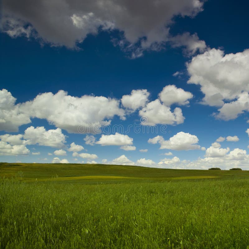 Wide Open Prairie with Lush Green Grass Stock Photo - Image of ...