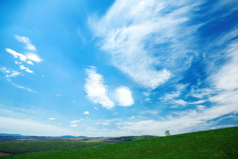 Green meadow stock image. Image of cloudy, meadow, outside - 5958187