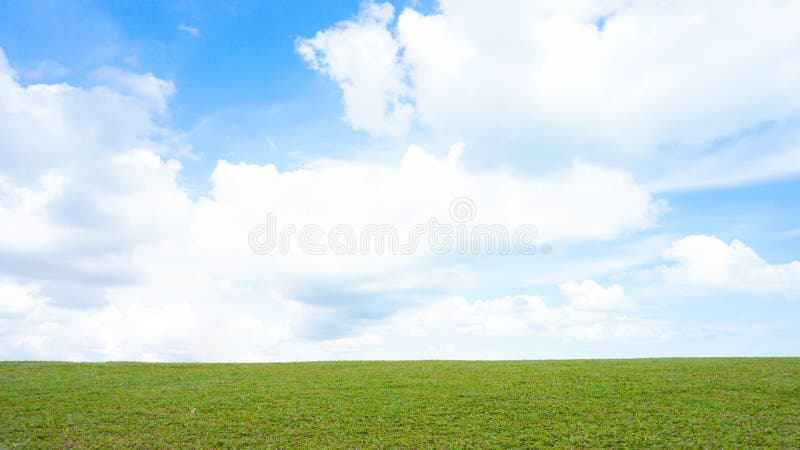 Green meadow and blue sky stock photo. Image of growth - 88033478