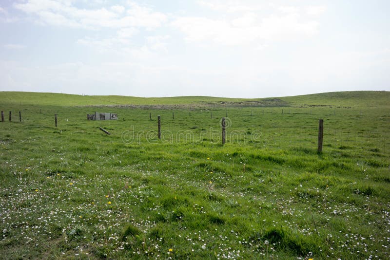 Green meadow, a green farm stock image. Image of farming - 192872011
