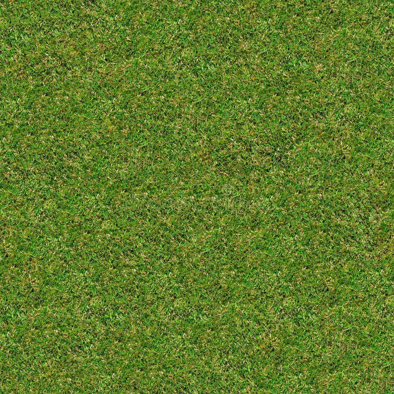 46+ Seamless texture green meadow grass Free Stock Photos - StockFreeImages