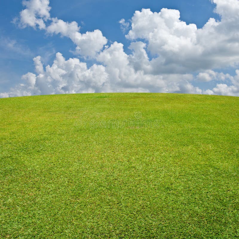 Green meadow and nice sky stock photo. Image of park - 16683902