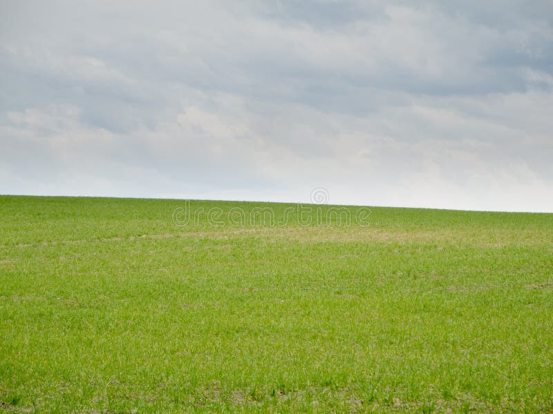Green Meadow with an Overcast Sky Stock Photo - Image of view, sloping ...