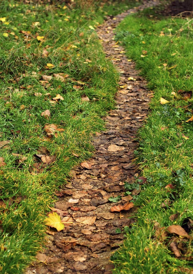 Green meadow with a path stock image. Image of rural - 35541147