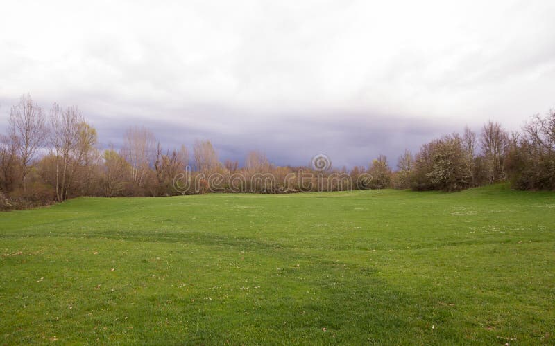 Green Meadow Surrounded by Trees and Bushes Stock Photo - Image of ...