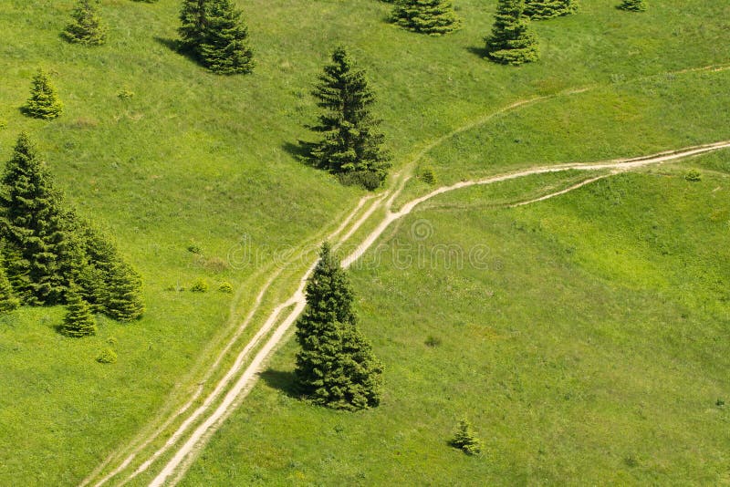 Green Meadow with Trees Bird View Stock Image - Image of aerial, path ...