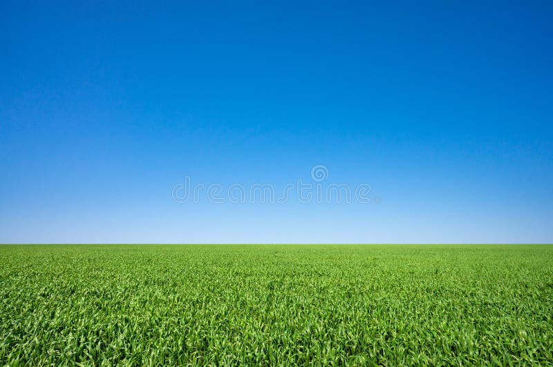 Green Meadow Under a Blue Sky Stock Photo - Image of cloudscape ...