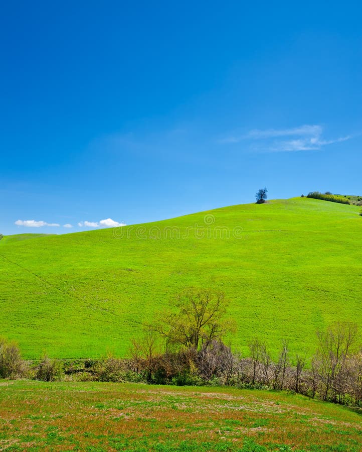 Green Meadows stock image. Image of farming, agriculture - 28483417