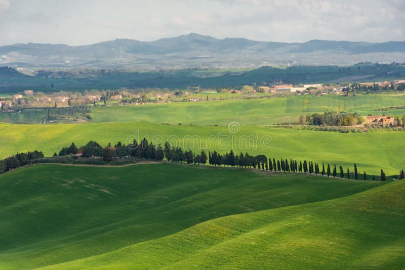 Green Meadows of Crete Senesi Countryside, Italy Stock Image - Image of ...