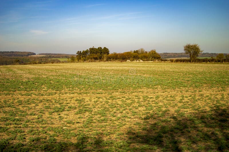 Green Meadows England with Grazing Lands Stock Image - Image of country ...