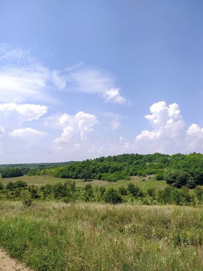 Meadows and Forests Landscape with Cloudy Sky Stock Image - Image of ...