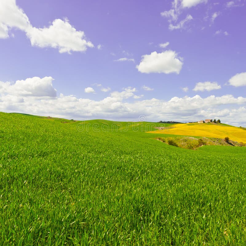 Green Meadows stock image. Image of ground, country, path - 60004949