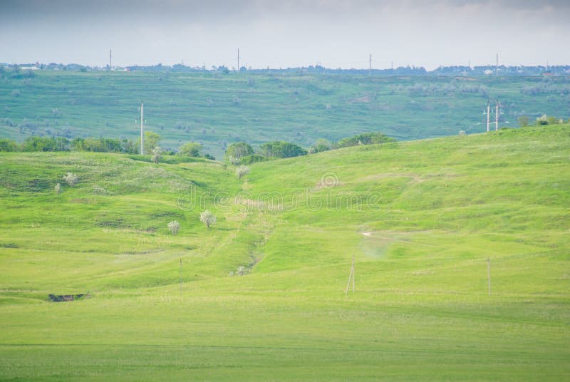 Green Meadows stock image. Image of grassland, meadows - 54897169