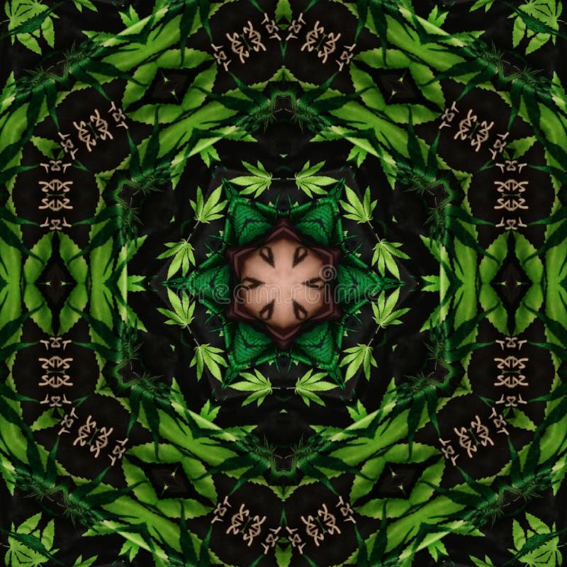 Green Medicinal Marijuana Mandala Design Stock Image - Image of green ...