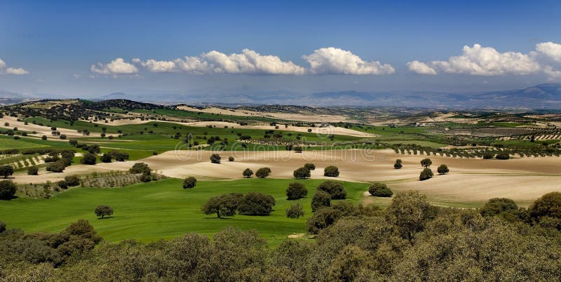 Green Mediterranean Landscape Stock Image - Image of countryside ...