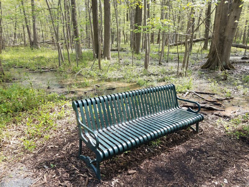 Green bench in woods stock image. Image of grassy, wood - 11801273