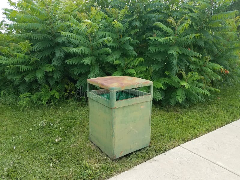 Green Metal Garbage Can Near Tree and Sidewalk Stock Image - Image of ...