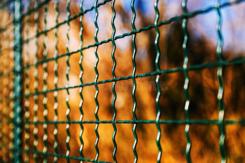 Green Metal Grid Fencing Pattern Stock Photo - Image of selective, wire ...