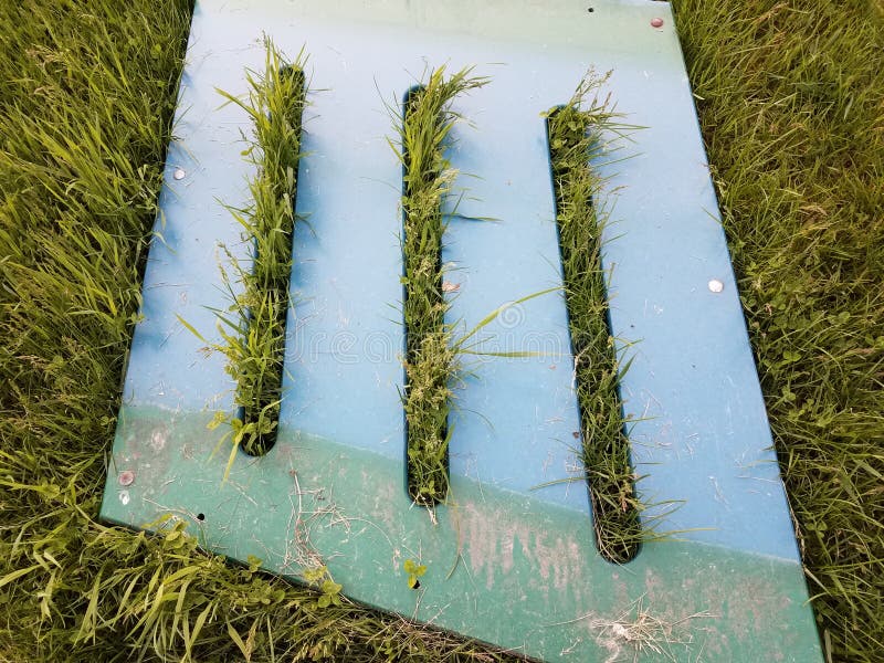 Green Metal or Plastic with Slits and Green Grass or Lawn Stock Image ...