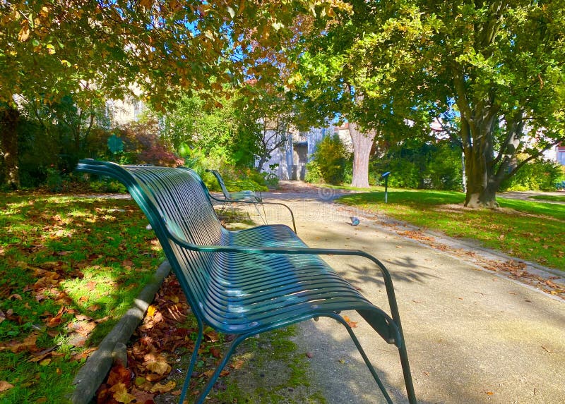 A Metallic Bench in the Park Stock Photo - Image of foliage, french ...