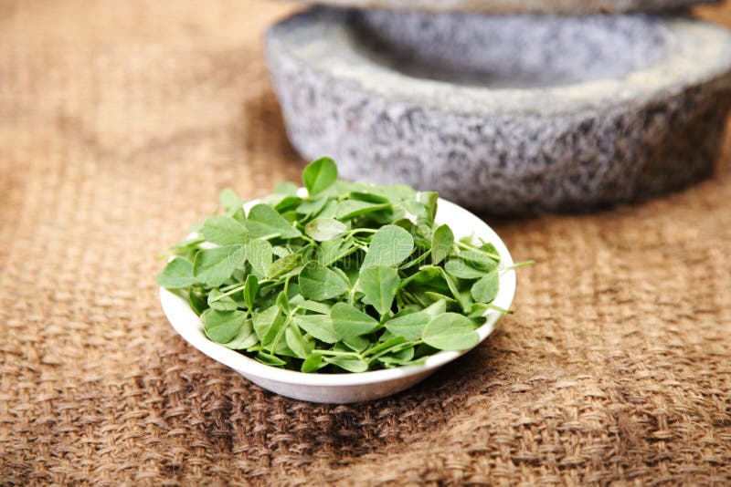 Green Methi or Fenugreek with Mortar and Pestle Stock Image - Image of ...
