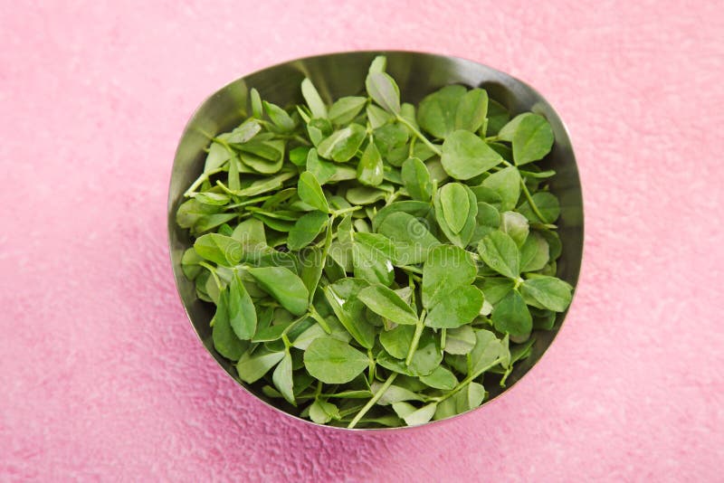 Green Methi or Fenugreek with Mortar and Pestle Stock Image - Image of ...