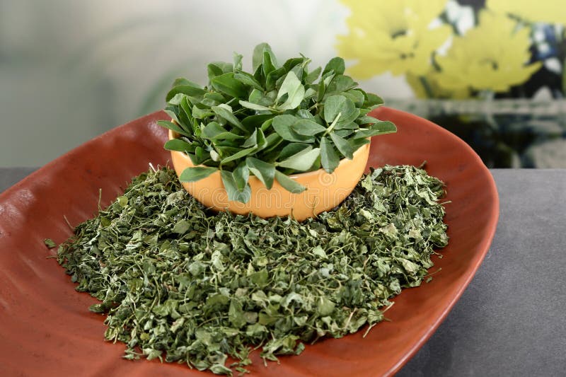 Green Methi or Fresh Fenugreek Stock Photo - Image of seasoning, jute ...