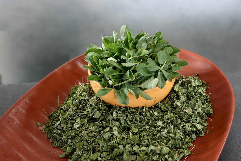 Green Methi or Fresh Fenugreek Stock Image - Image of kasoorimethi ...