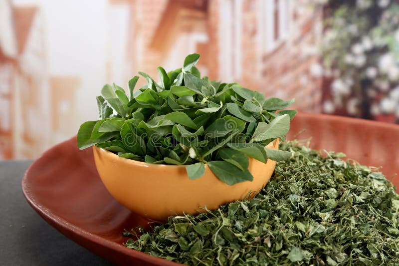 Green Methi or Fresh Fenugreek Stock Image - Image of spicy, seasoning ...