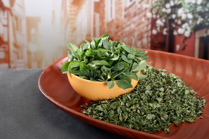 Green Methi or Fresh Fenugreek Stock Image - Image of indian, batta ...