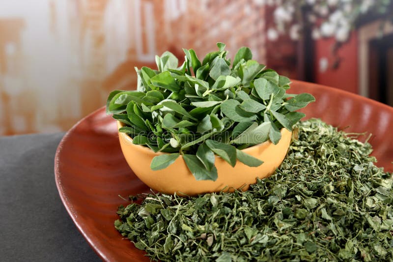 Green Methi or Fresh Fenugreek Stock Photo - Image of aromatic, leaf ...
