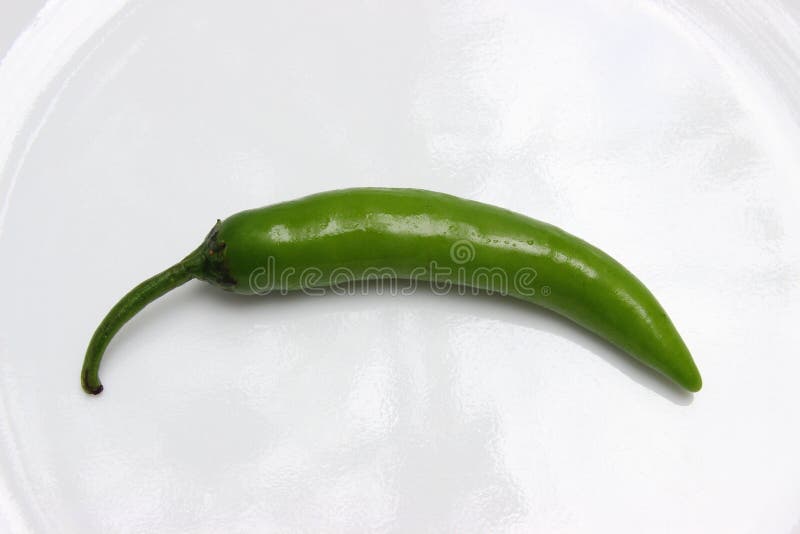 One Single Green Mexican Spicy Chili Pepper Isolated Stock Image ...