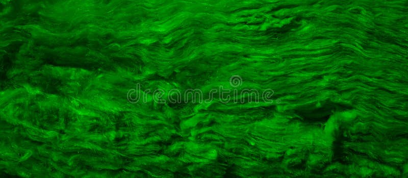 Green Mineral Wool with a Visible Texture Stock Image - Image of house ...
