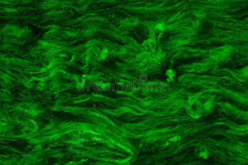 Green Mineral Wool with a Visible Texture Stock Image - Image of green ...