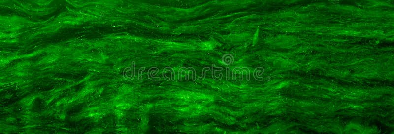 Green Mineral Wool with a Visible Texture Stock Image - Image of green ...