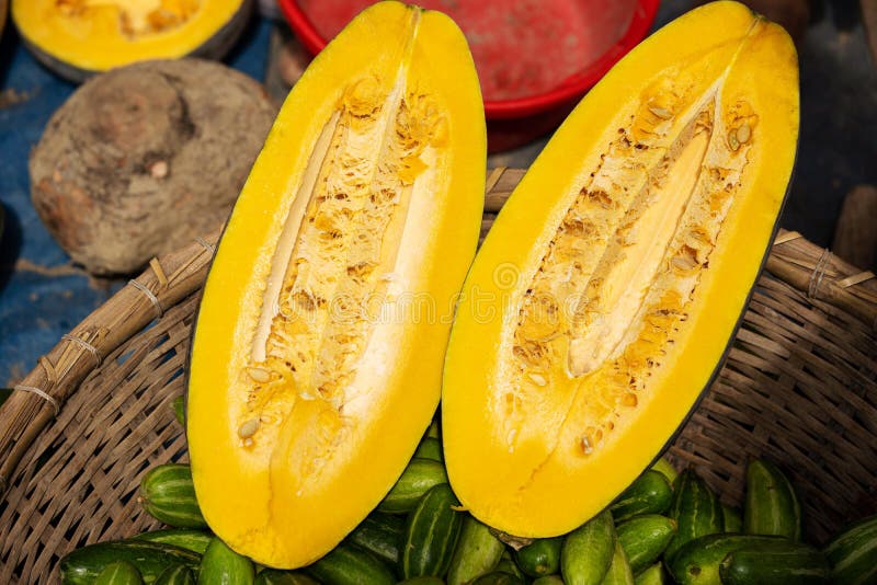 Green Mini Pumpkin Isolated Stock Photo - Image of fresh, harvest ...