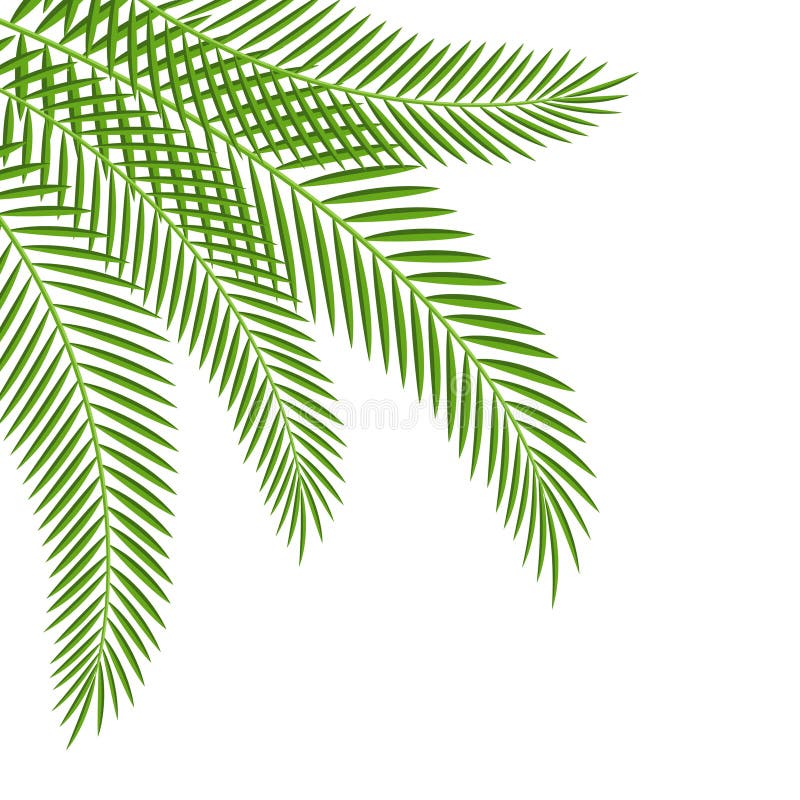 Leaf Corner Vector stock vector. Illustration of nose - 263003648