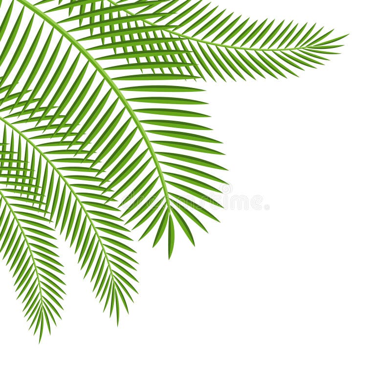 Leaf Corner Vector stock vector. Illustration of nose - 263003648