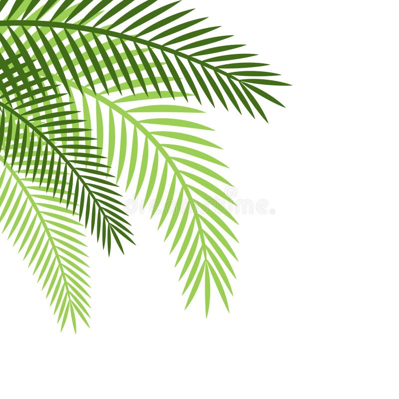 Leaf Corner Vector stock vector. Illustration of nose - 263003648