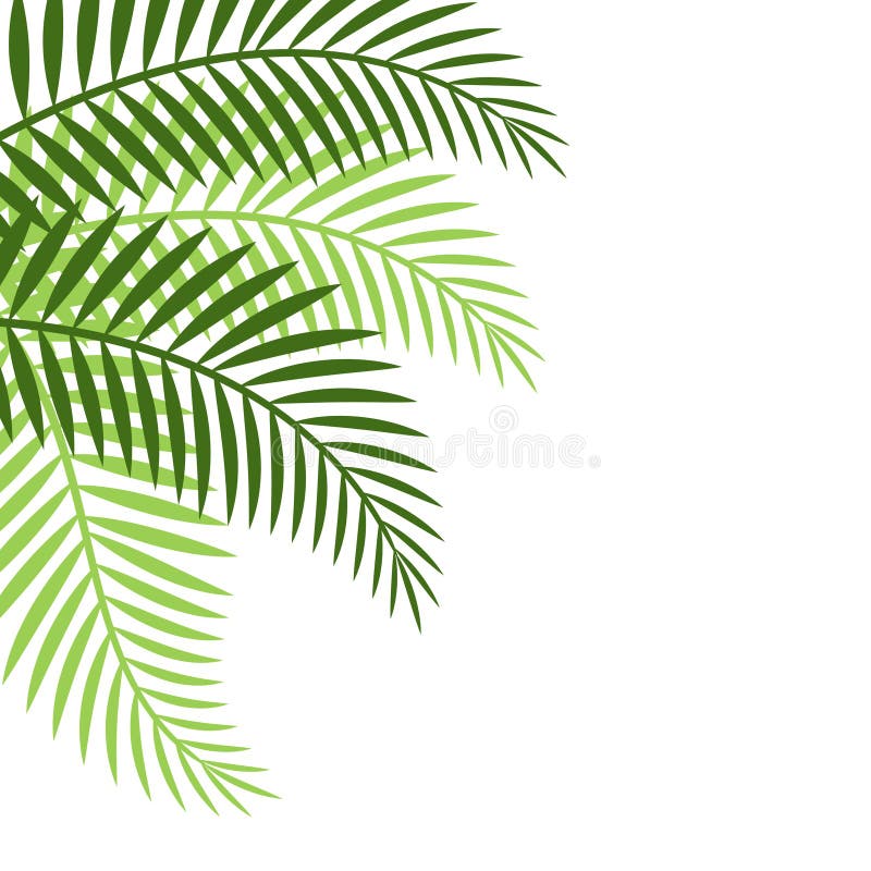 Leaf Corner Vector stock vector. Illustration of nose - 263003648