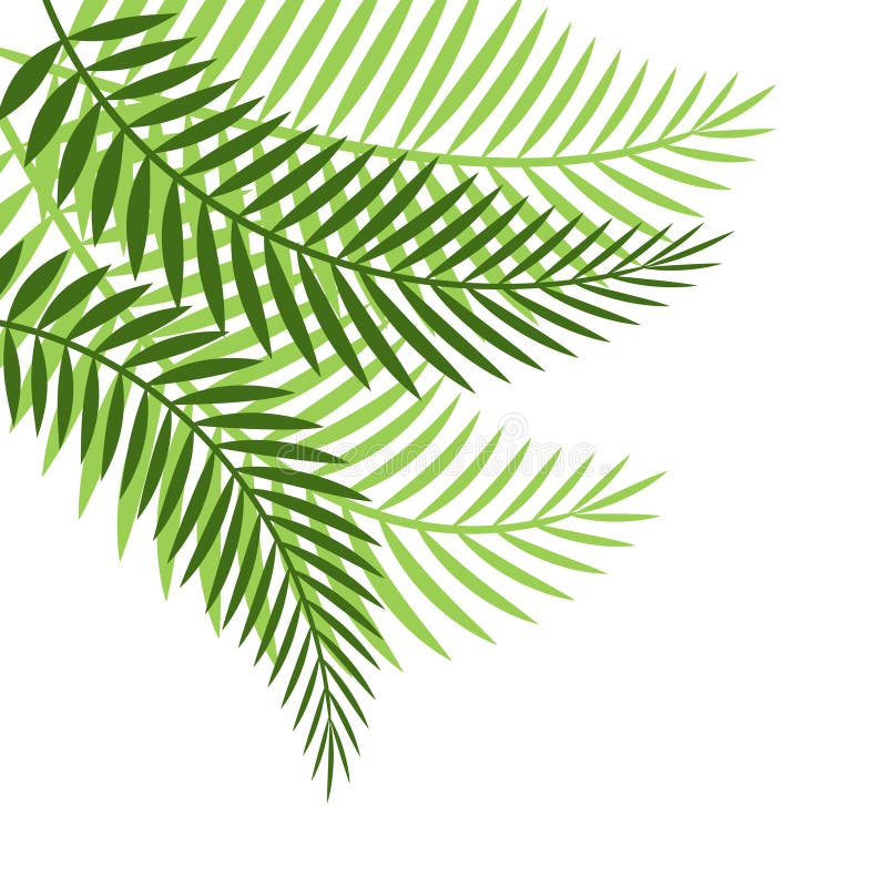 Green Palm Leaf Corner Decoration Stock Vector - Illustration of palm ...