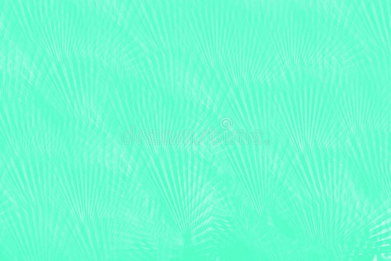 Light Mint Green Abstract Background with Palm Leaves Pattern Stock ...