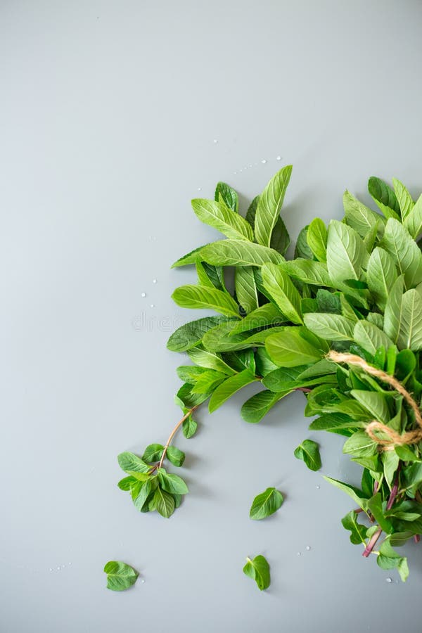 Green Mint Leaves Close-up on Stone Background Stock Image - Image of ...