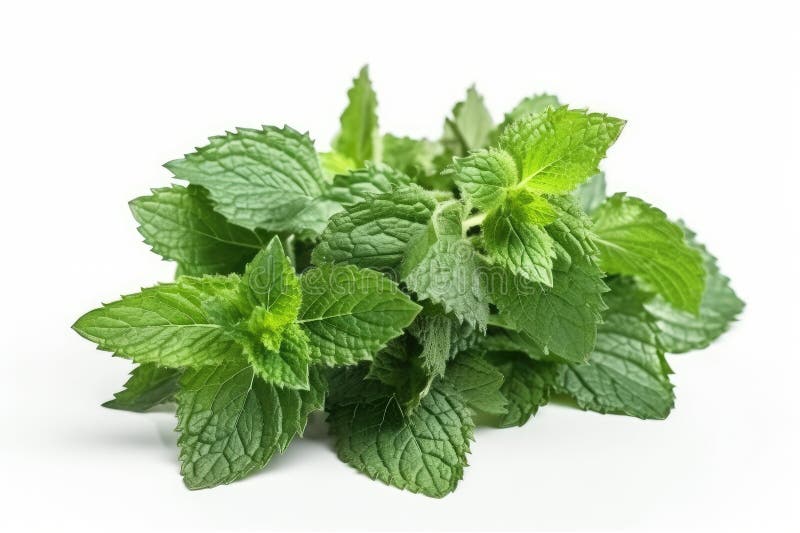 Various Ailments Stock Illustrations – 22 Various Ailments Stock ...