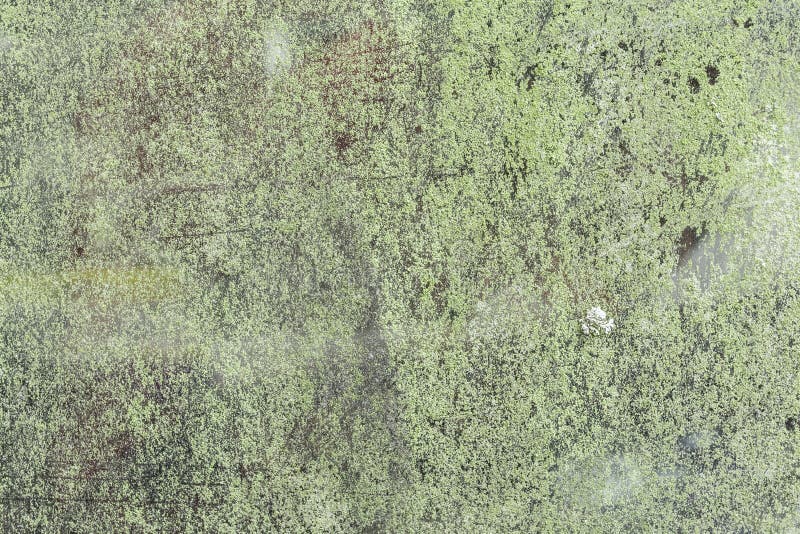 Green Mold Grows on the Black Background Stock Photo - Image of fungus ...