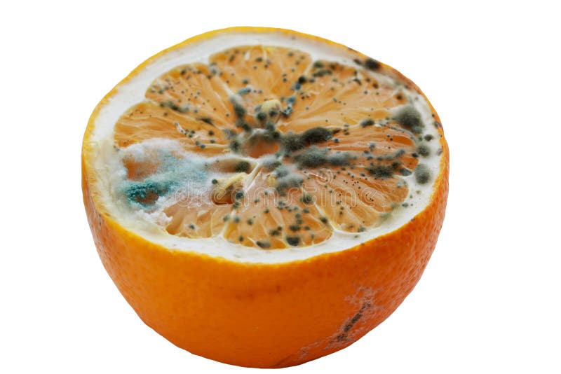 210 Rotting Lemon Stock Photos - Free & Royalty-Free Stock Photos from ...