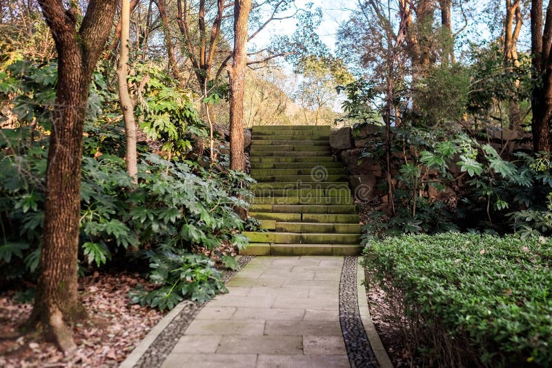 Green Molded Steps in a Chinese Park Stock Image - Image of spring ...